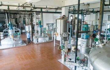 Quality & Safety: Farmson's Commitment to API Paracetamol